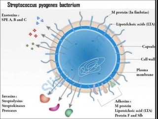 Pathogenic mechanishm of group a streptococcus | PPTX