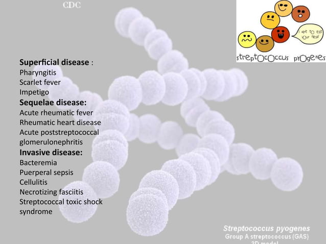 Pathogenic mechanishm of group a streptococcus | PPT