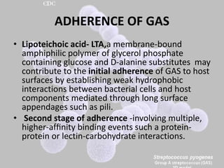 Pathogenic mechanishm of group a streptococcus | PPTX