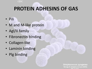 Pathogenic mechanishm of group a streptococcus | PPTX