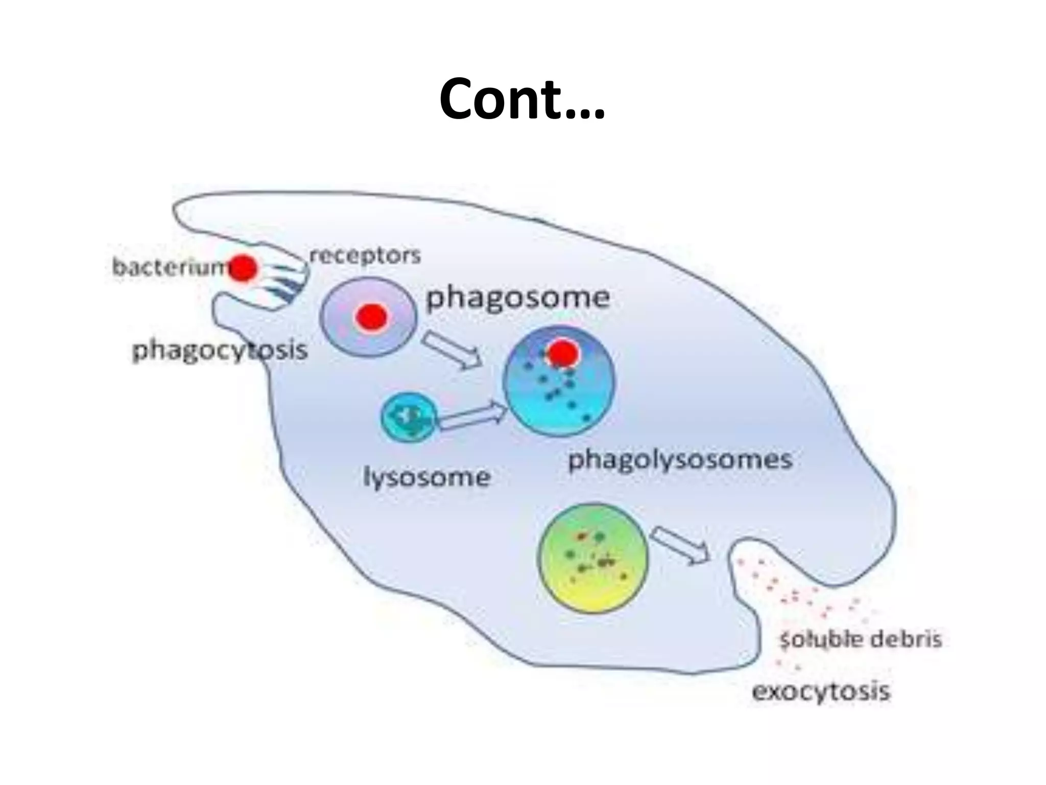 Pathogenic mechanisms of microbes of medical importance | PPTX