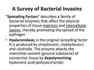Pathogenic mechanisms of microbes of medical importance | PPTX