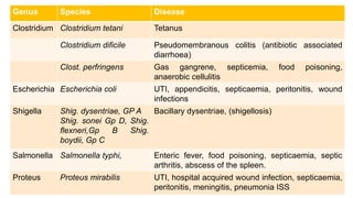 INTRODUCTION TO PATHOGENIC MICROORGANISMS.pptx