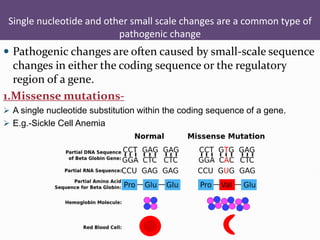 Pathogenic Mutation in DNA that decides whether the patient gonna ...