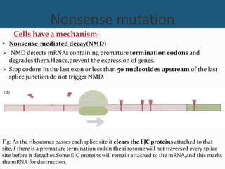 Pathogenic Mutation in DNA that decides whether the patient gonna ...