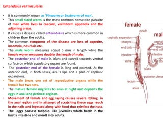 Pathogenic nemadodes & disease.pptx