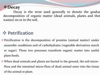 Pathogenic & Non pathogenic organisms.pptx