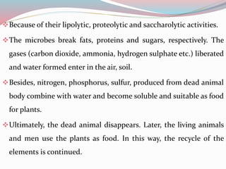 Pathogenic & Non pathogenic organisms.pptx