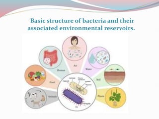 Pathogenic & Non pathogenic organisms.pptx