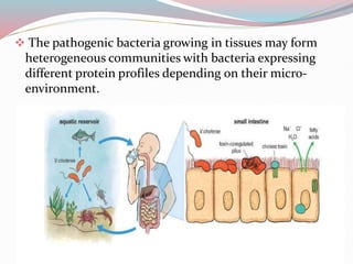 Pathogenic & Non pathogenic organisms.pptx