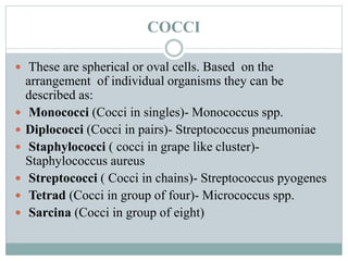 Pathogenic organism | PPTX
