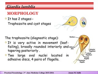 Pathogenic protozoa jana | PPT