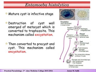 Pathogenic protozoa jana | PPT