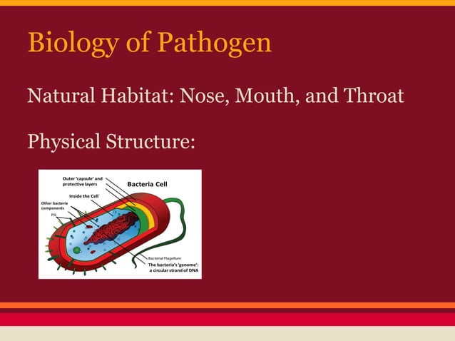 Pathogen project | PPT