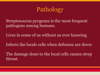 Pathogen project | PPT