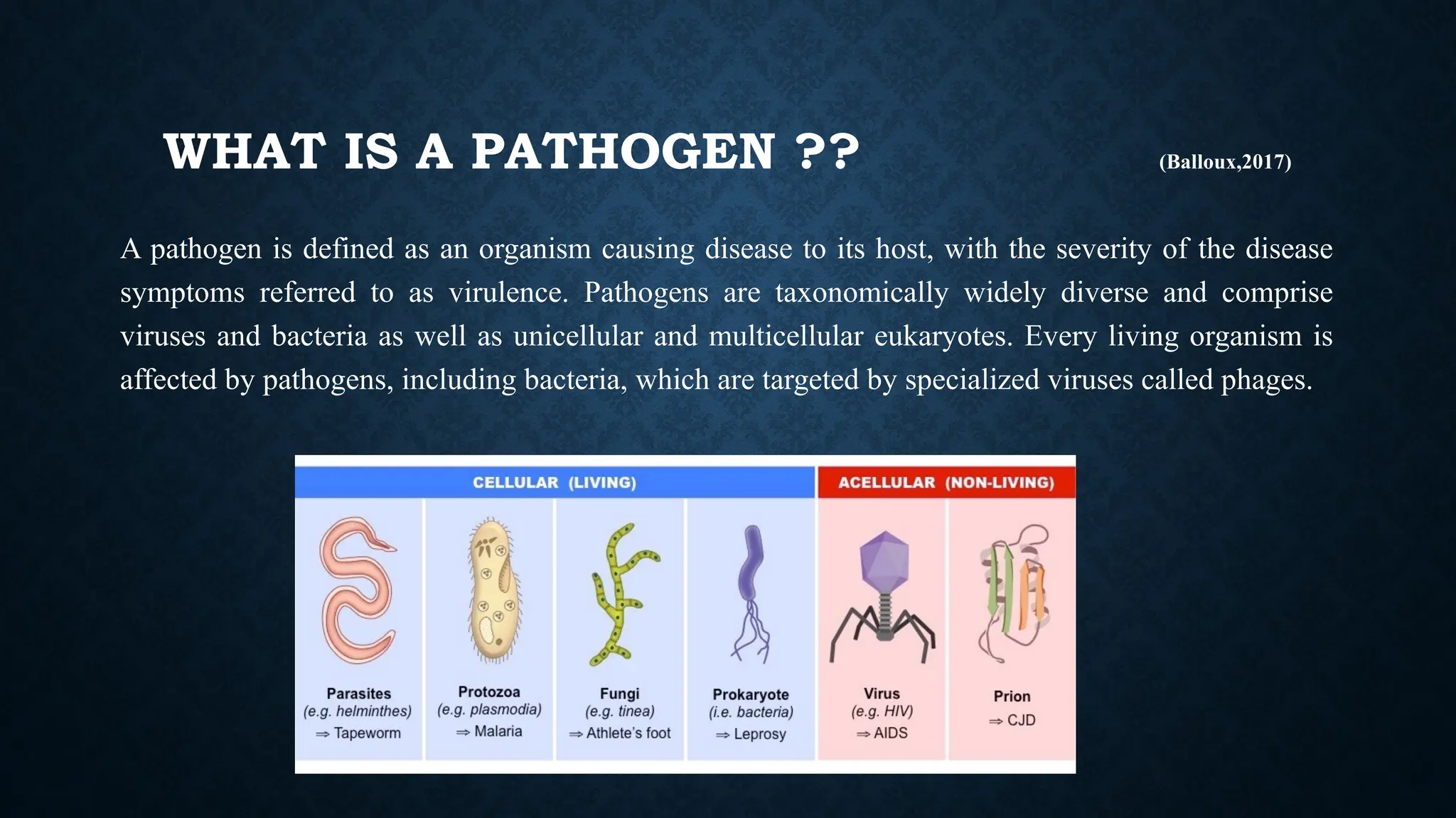 Pathogen Recognition and their presentation to immune system.pptx