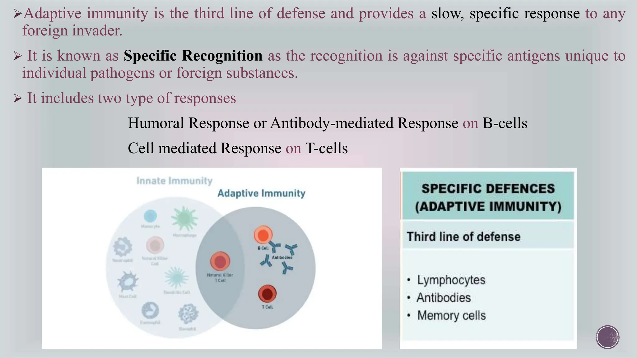 Pathogen Recognition Receptors (PRRS) & Pathogen Associated Molecular ...