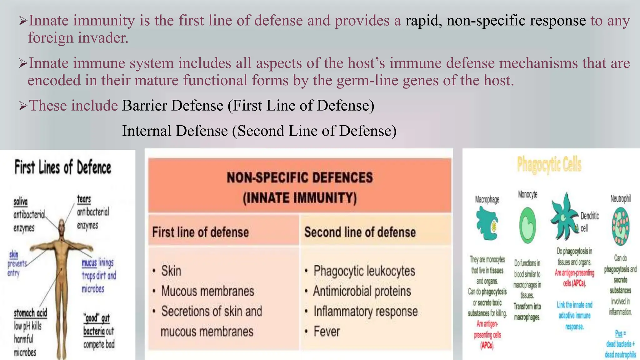 Pathogen Recognition Receptors (PRRS) & Pathogen Associated Molecular ...