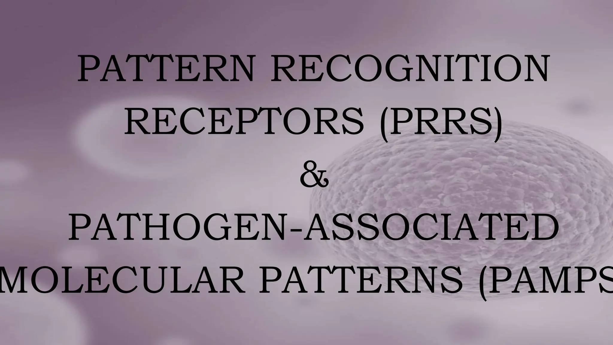 Pathogen Recognition Receptors Prrs And Pathogen Associated Molecular