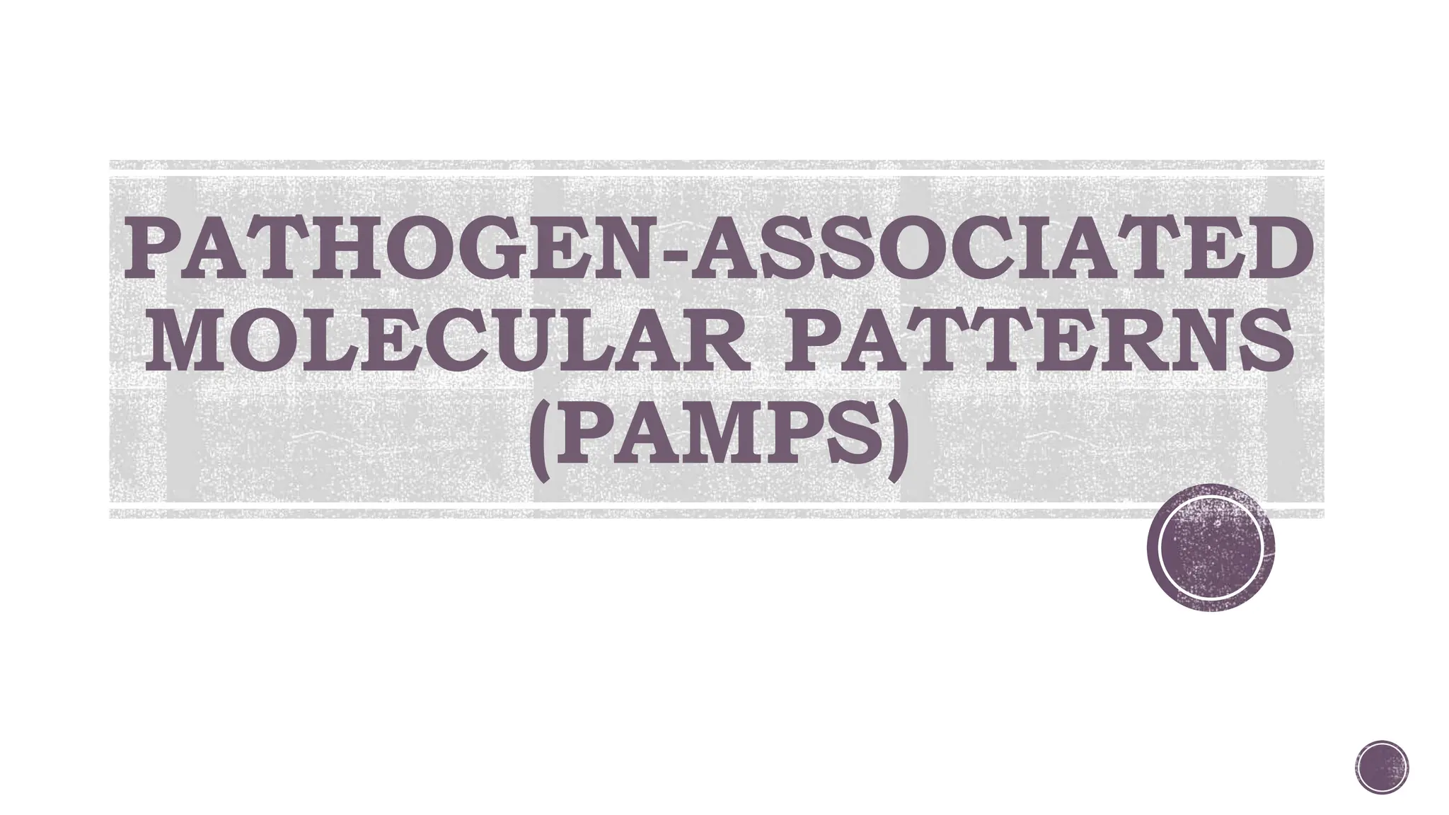 Pathogen Recognition Receptors (PRRS) & Pathogen Associated Molecular Patterns (PAMPS).pptx