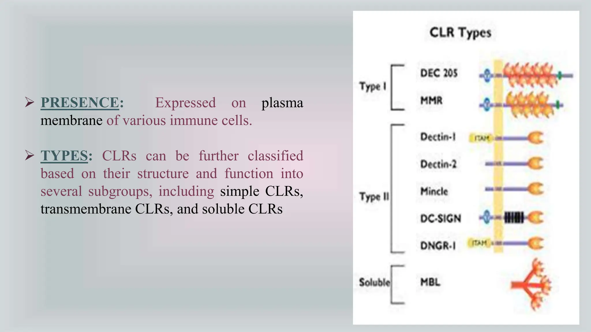 Pathogen Recognition Receptors (PRRS) & Pathogen Associated Molecular ...