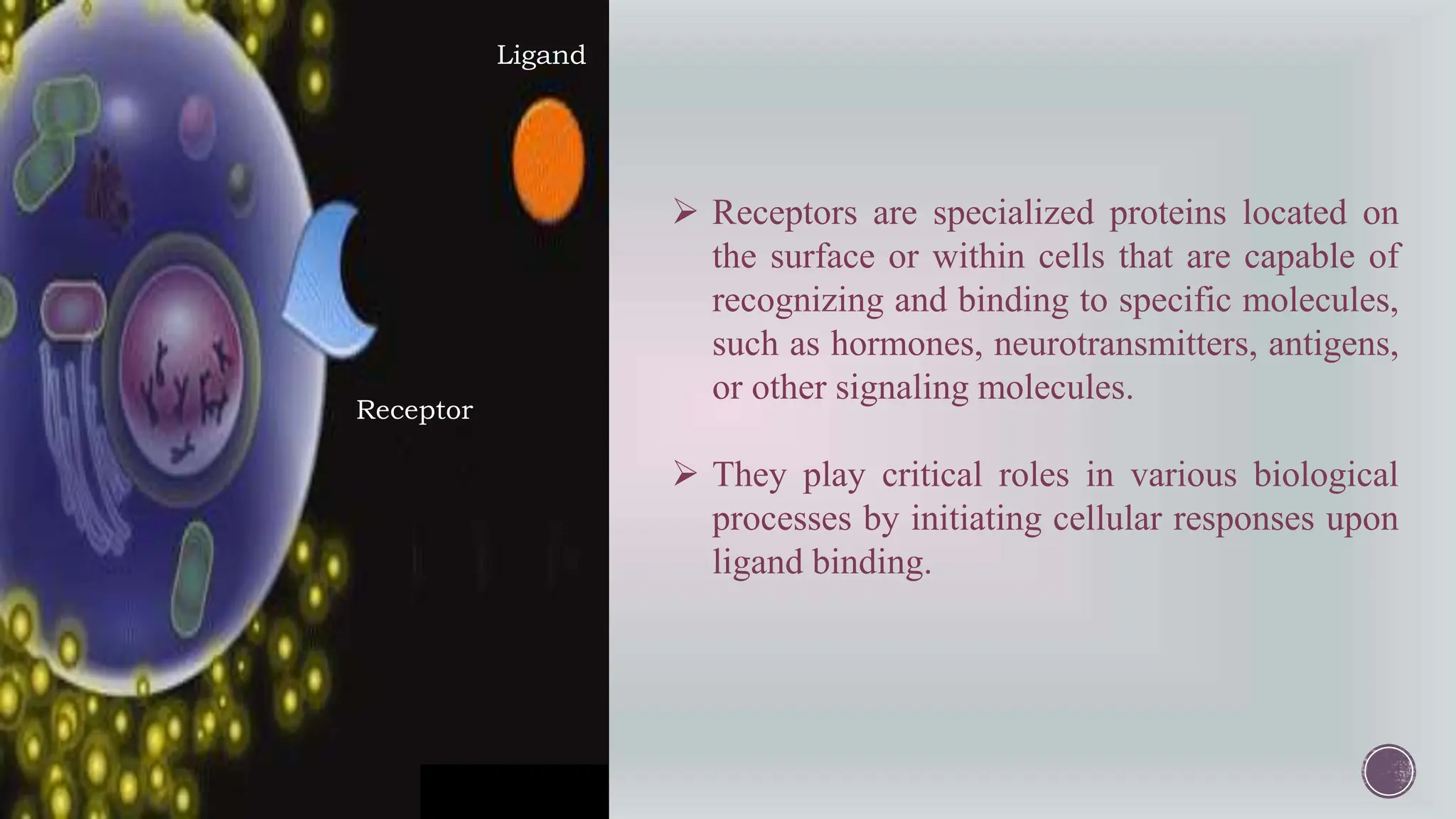 Pathogen Recognition Receptors (PRRS) & Pathogen Associated Molecular ...