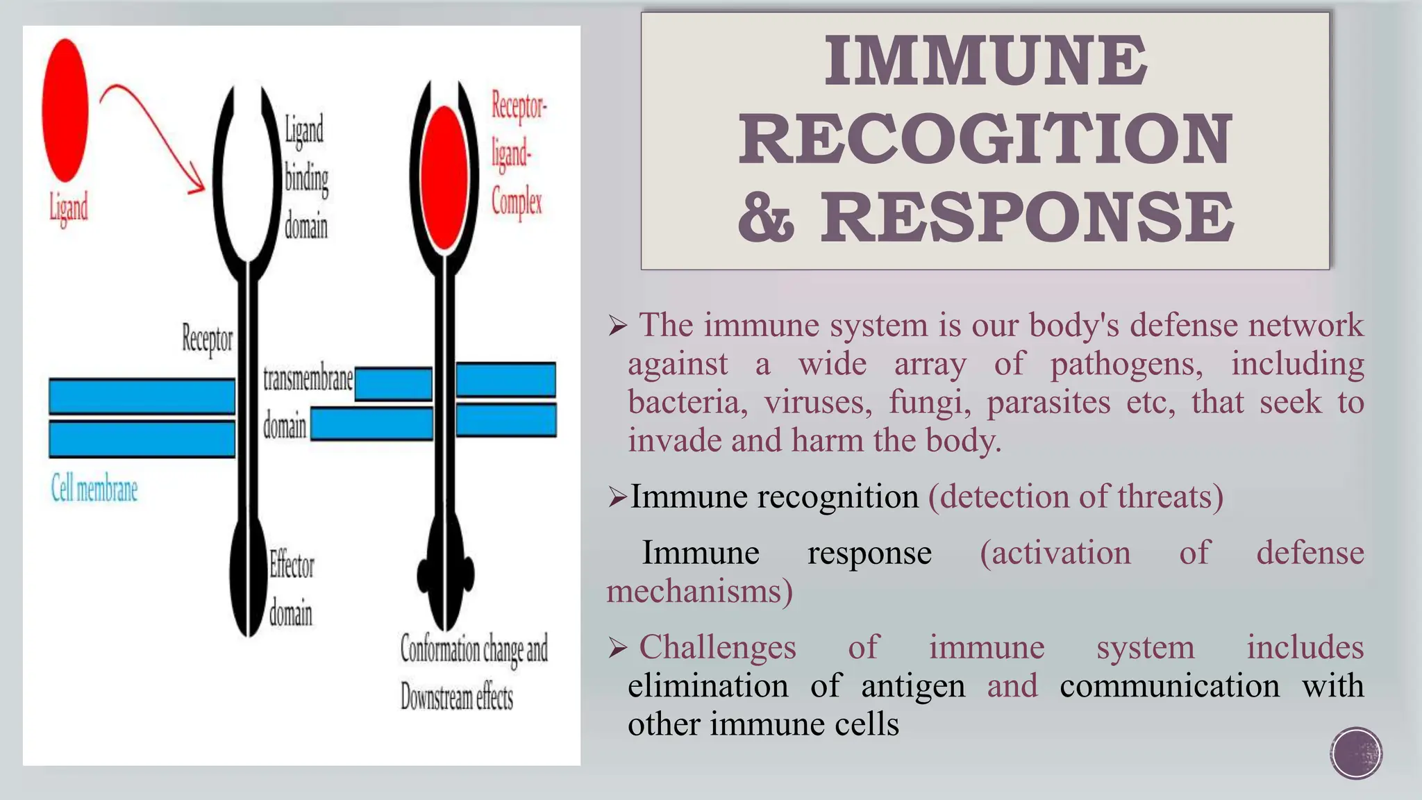 Pathogen Recognition Receptors (PRRS) & Pathogen Associated Molecular ...