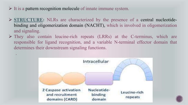 Pathogen Recognition Receptors (PRRS) & Pathogen Associated Molecular ...