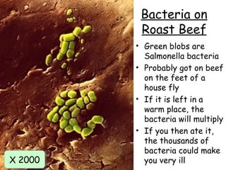Pathogens | PPT