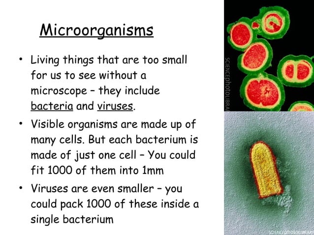 Pathogens | PPT