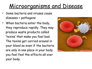 Pathogens | PPT