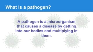 Pathogens | PDF