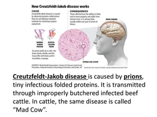 Pathogens | PPTX