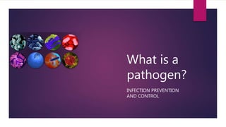 Pathogens | PPT
