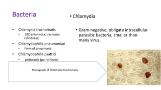Pathogens | PPT