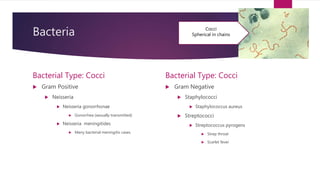 Pathogens | PPTX