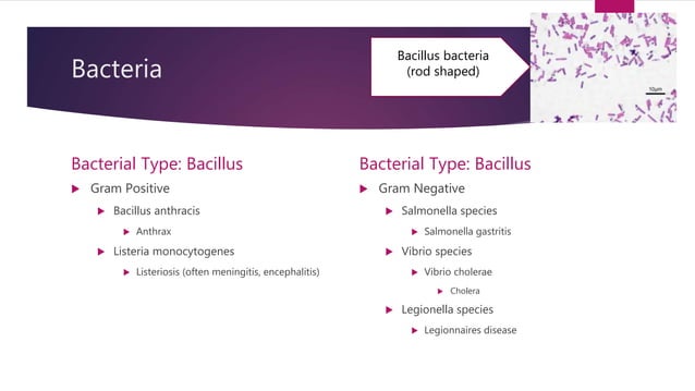 Pathogens | PPT