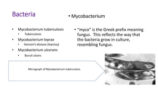 Pathogens | PPTX