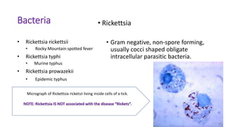 Pathogens | PPTX