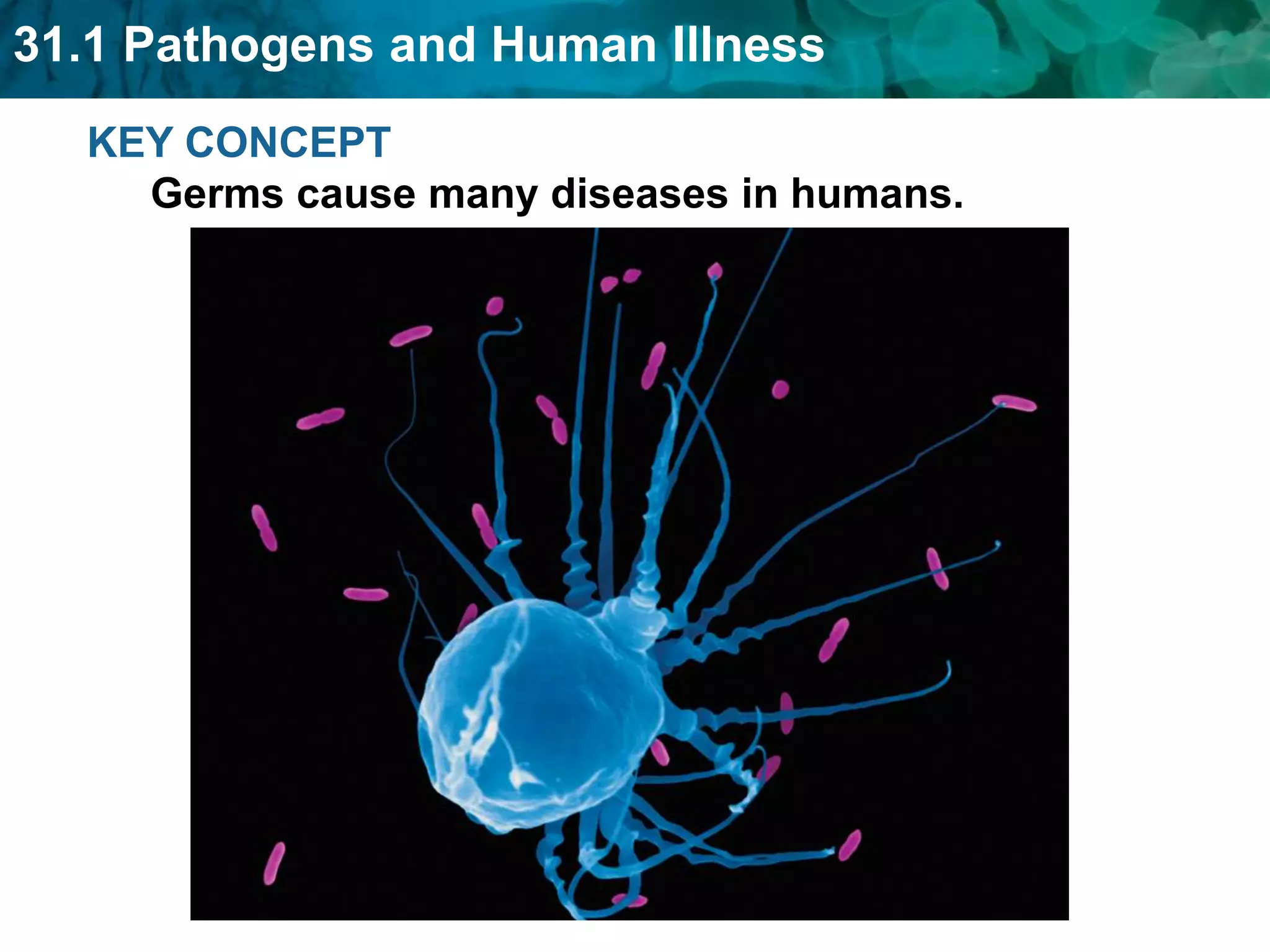 pathogens.ppt