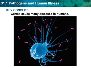 pathogens.ppt