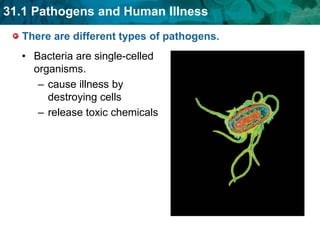 pathogens.ppt
