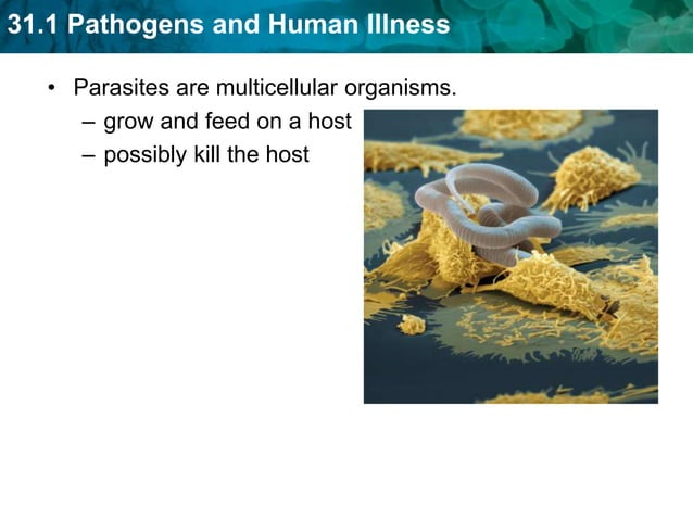 pathogens.ppt
