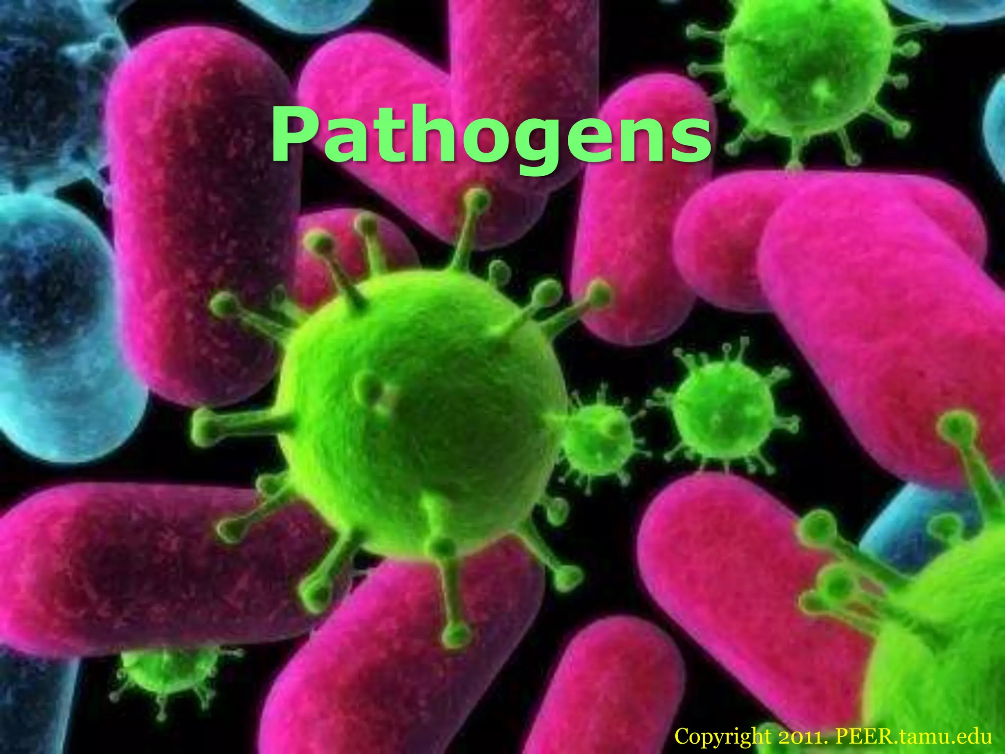 Pathogens.ppt