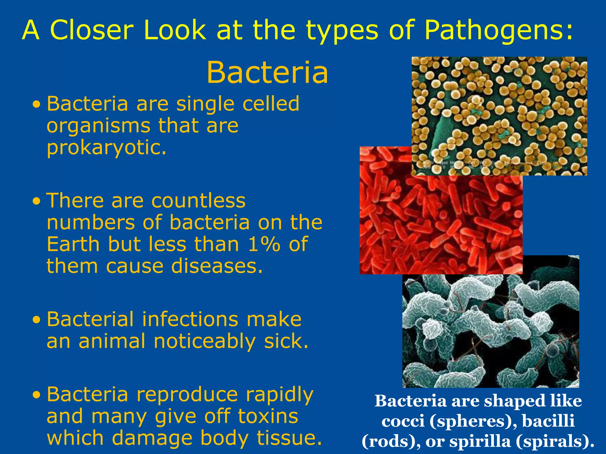 Pathogens.ppt