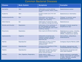 Pathogens.ppt