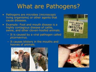 Pathogens.ppt