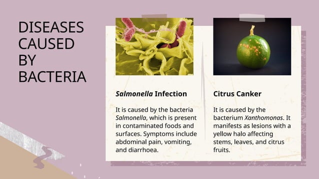 Pathogens and Communicable Diseases Education Presentation in Light ...