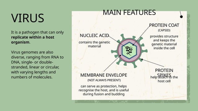 Pathogens and Communicable Diseases Education Presentation in Light ...