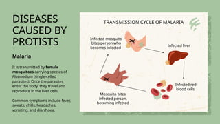 Pathogens and Communicable Diseases Education Presentation in Light ...